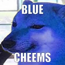 Blue cheems | Wiki Cheems | Fandom