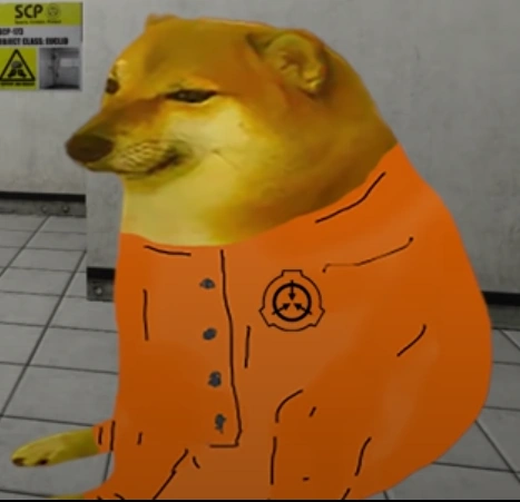 Class D cheems | Wiki Cheems | Fandom