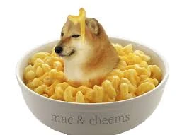 Macarronicheems | Wiki Cheems | Fandom
