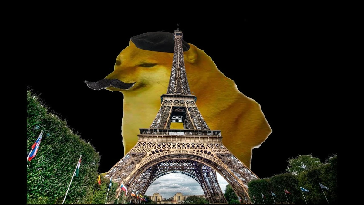 Le Cheems | Wiki Cheems | Fandom