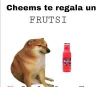 Frutsi cheems | Wiki Cheems | Fandom