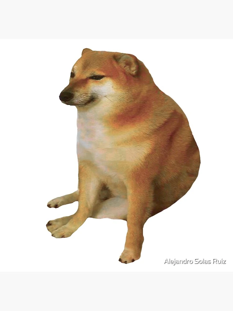 Cheems | Wiki Cheems | Fandom