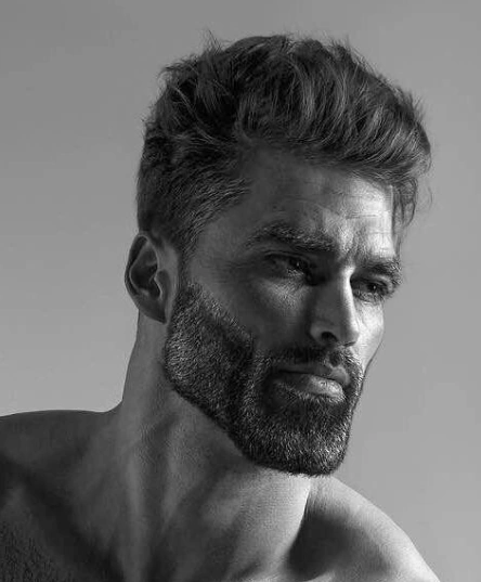 Brogan | Cheese World Wiki | Fandom