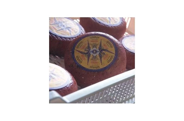 Abbamare | WikiCheese | Fandom