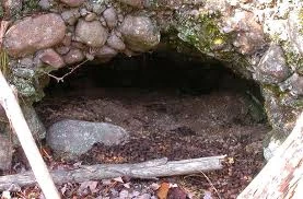 Med Cat Den | Cheetahclanroleplay Wiki | Fandom