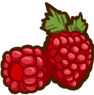 Raspberry | Chef Wars Wiki | Fandom