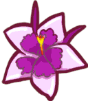 Flower | Chef Wars Wiki | Fandom