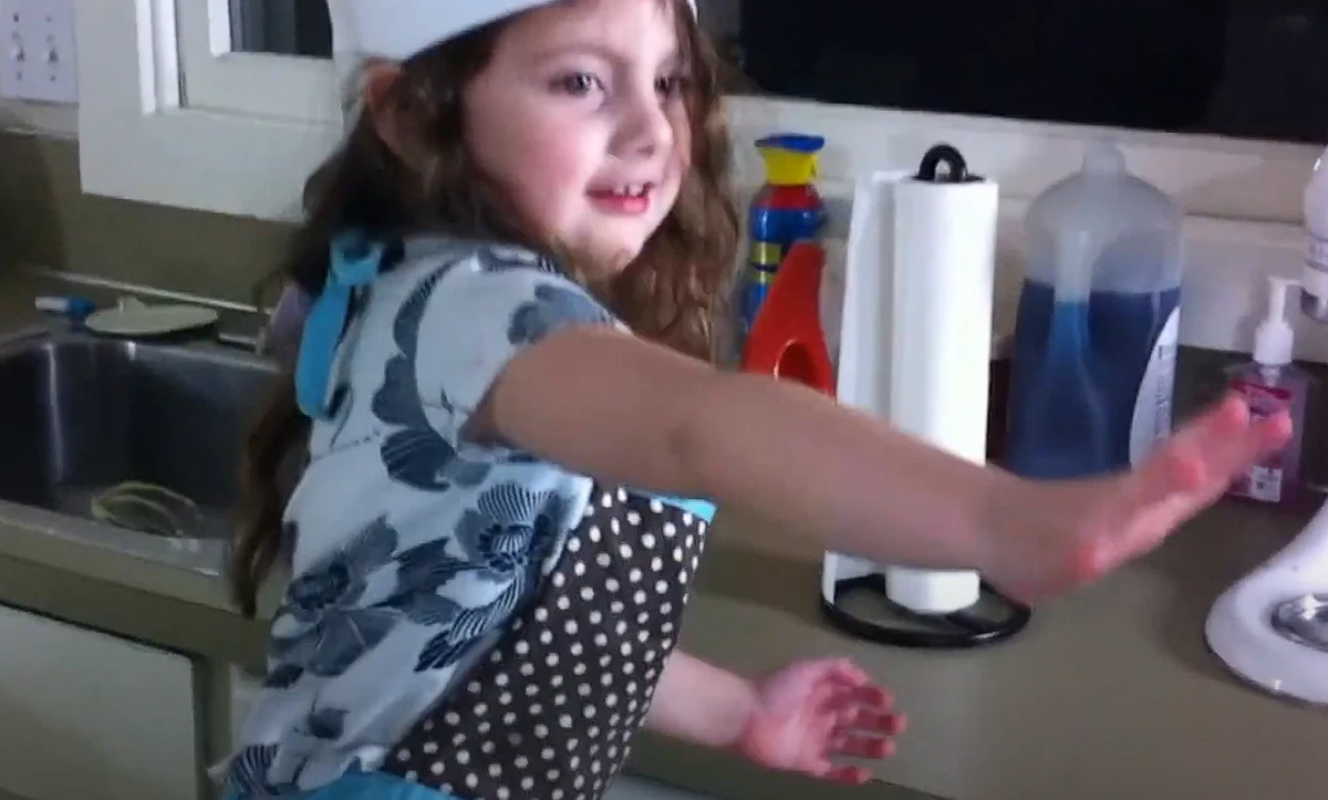 Whip and nae nae | Cheffer Ali Wiki | Fandom