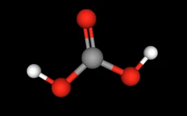 Carbonic acid | Chemistry Wiki | Fandom