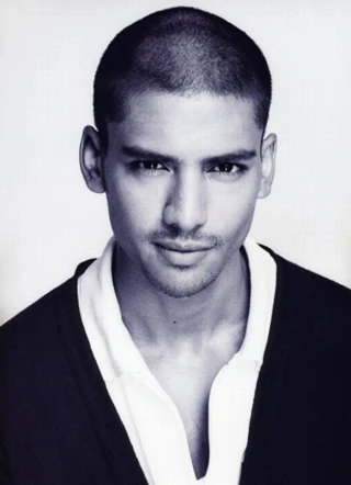 Harvey Desari | Cherry Hill Wiki | Fandom