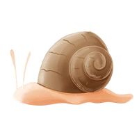Snail | CherryTree | Fandom