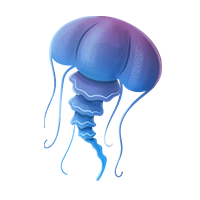 Raw Jellyfish | CherryTree | Fandom