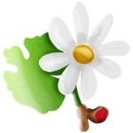 Bloodroot | CherryTree | Fandom