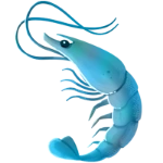 Blue Shrimp | CherryTree | Fandom