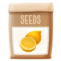 Lemon Seed | CherryTree | Fandom