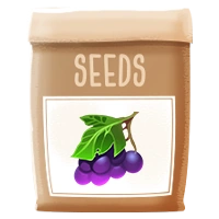 Grapes Seed | CherryTree | Fandom