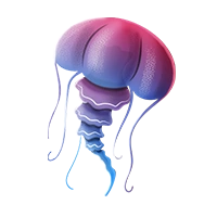 Jellyfish | CherryTree | Fandom