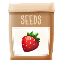 Strawberry Seed Cherrytree Fandom
