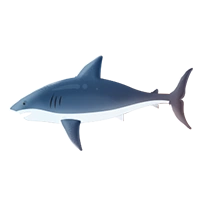 Shark | CherryTree | Fandom