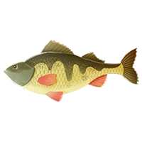 Perch | CherryTree | Fandom