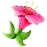 Akomeric | CherryTree | Fandom