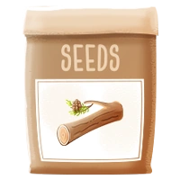 Fir Seed | CherryTree | Fandom