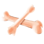 Bones | CherryTree | Fandom