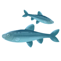 Raw Minnows | CherryTree | Fandom