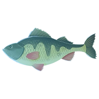 Raw Perch | CherryTree | Fandom