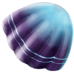 Shell | CherryTree | Fandom