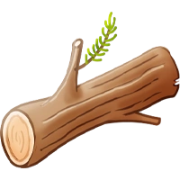 Spruce Log | CherryTree | Fandom