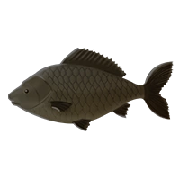 Burnt Carp | CherryTree | Fandom