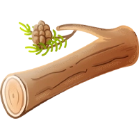 Fir Log | CherryTree | Fandom