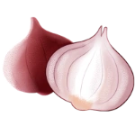 Red Onion | CherryTree | Fandom