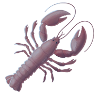 Raw Lobster | CherryTree | Fandom