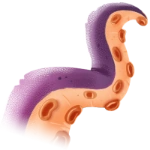 Tentacle | CherryTree | Fandom