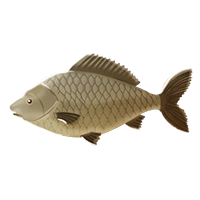 Carp | CherryTree | Fandom