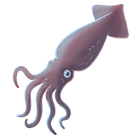 Raw Squid | CherryTree | Fandom