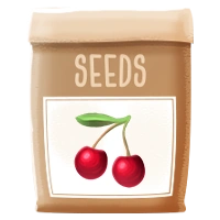 Cherries Seed | CherryTree | Fandom