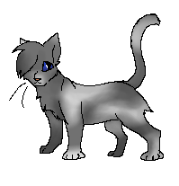 Dustpaw | Cherryypunch Wiki | Fandom