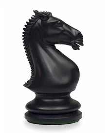 Horsey | Chess Fanon Wiki | Fandom