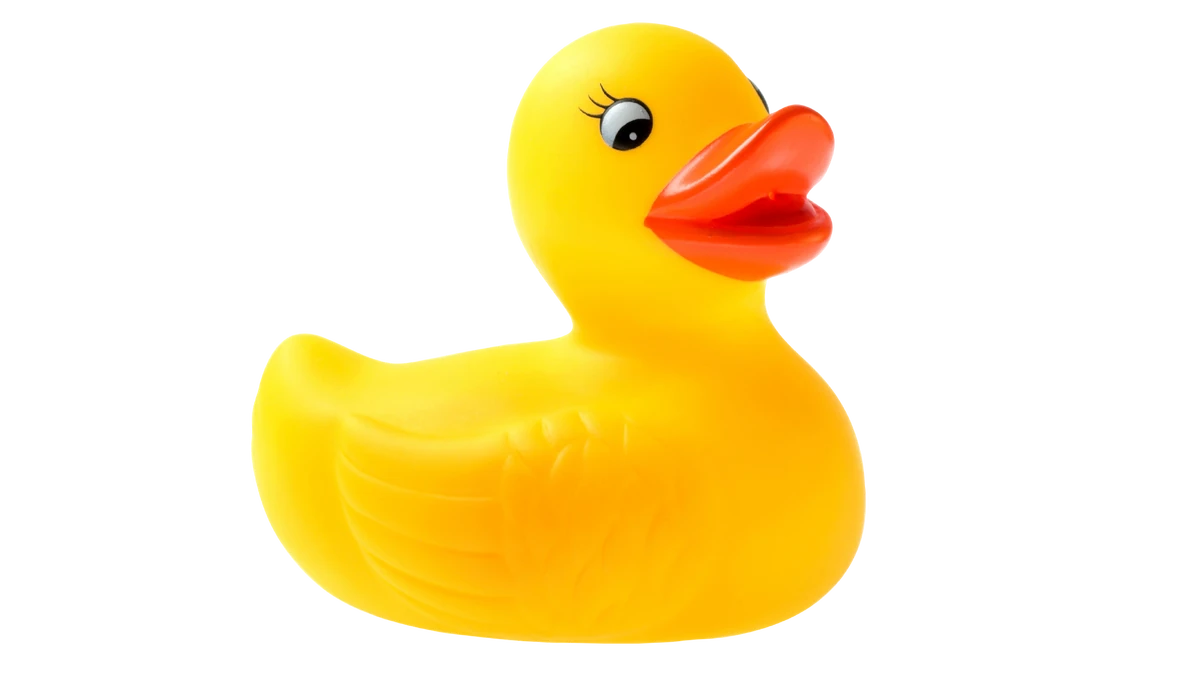 Duck | Chess Fanon Wiki | Fandom