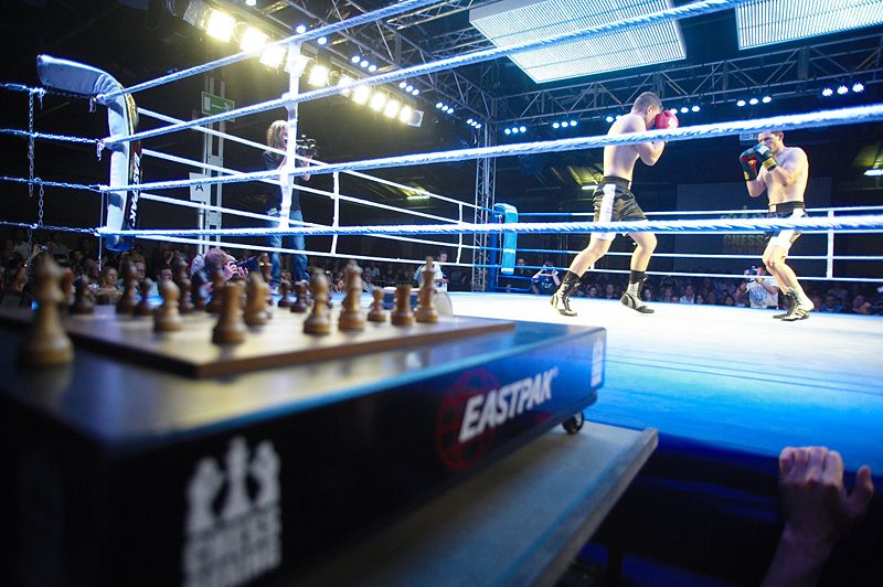 Chess Boxing | Chess Wiki | Fandom