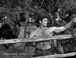 Mustang Trail | Cheyenne Wiki | Fandom