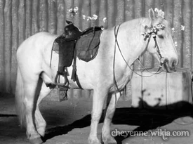 Renegades | Cheyenne Wiki | Fandom