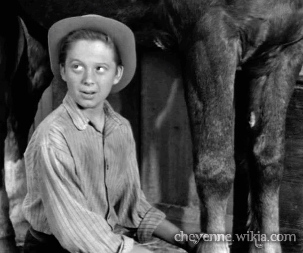 Category:Children | Cheyenne Wiki | Fandom