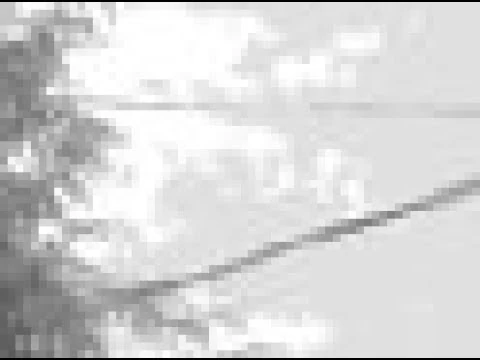 Alhena's New Years Video | ChezzKids Wiki | Fandom