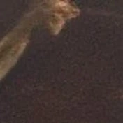 ALHENA HYDRARTHROSIS VERANDA | ChezzKids Wiki | Fandom