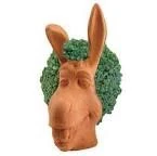 Donkey | Chiapet Wiki | Fandom