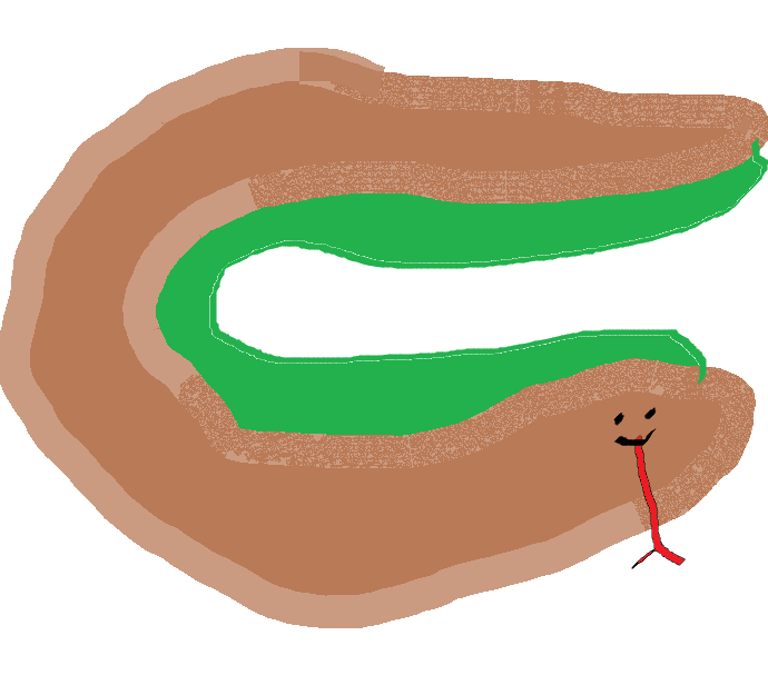 Snake | Chiapet Wiki | Fandom